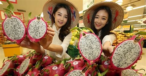 한겨울에 맛보는 열대과일 용과