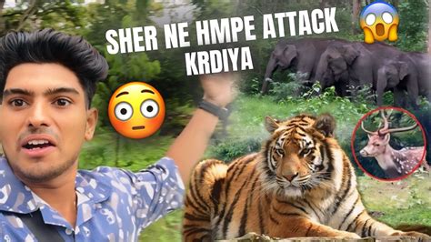 Jangal Me Kya Hua Dekho Mysore Ka Jangal Sachin Tiwari Priya Tiwari Vlog Youtube