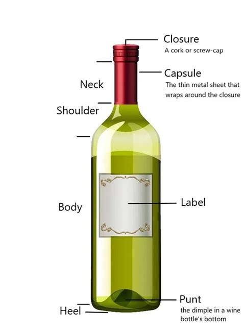 Understanding The Anatomy Of A Wine Bottle Exploring Its Eight