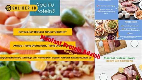 Temukan Manfaat Protein Yang Jarang Diketahui Solider