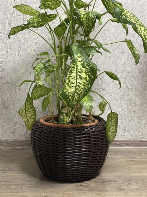 Кашпо з ротангу вазон — ціна 480 грн у каталозі Кашпо Купити товари для