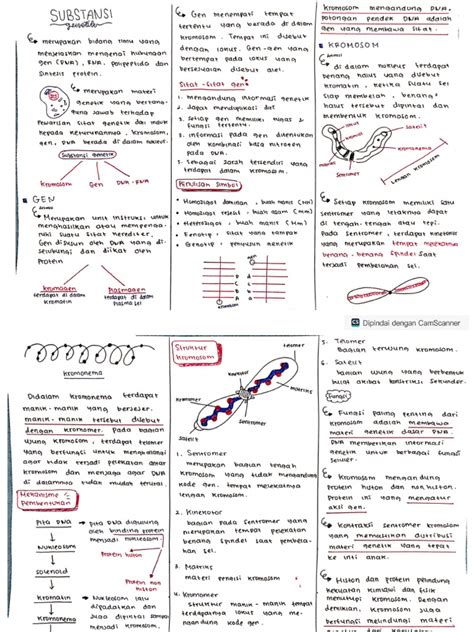 Lesson Plan Karina Substansi Genetik Pdf