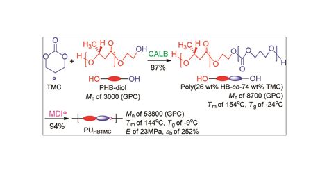 Enzymatic Ring Opening Polymerization Of Trimethylene Carbonate With