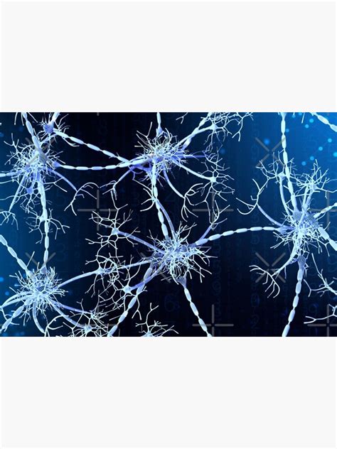 Lámina Metálica Dendritas Y Un Axón Las Dendritas Y Los Axones Son