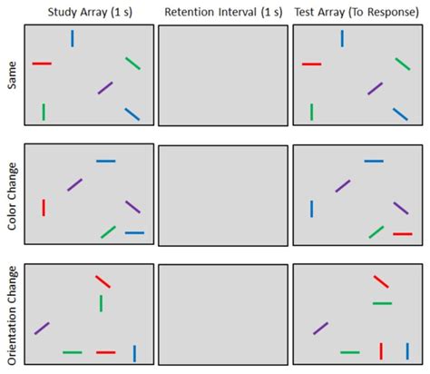 Example Stimuli And Trials Types Participants Indicated Whether The Download Scientific
