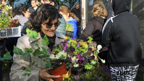 En Río Grande el Municipio entregó más de 130 mil plantines durante el