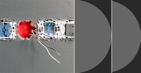 List Flutter Curated By Nelson Mandela Dmj Medium