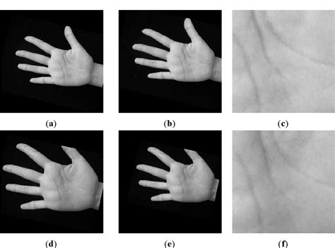 Figure 1 From Palmprint Recognition Across Different Devices Semantic Scholar