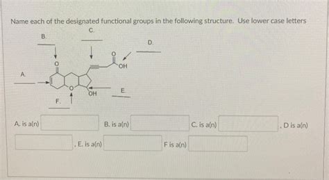 Solved Name Each Of The Designated Functional Groups In The Chegg