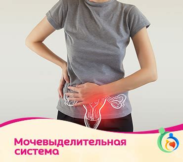 Официальный сайт бифилакт БИОТА (кисломолочный продукт) в Краснодаре