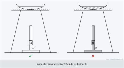 Label The Parts Of Bunsen Burner At Carlo Simmons Blog
