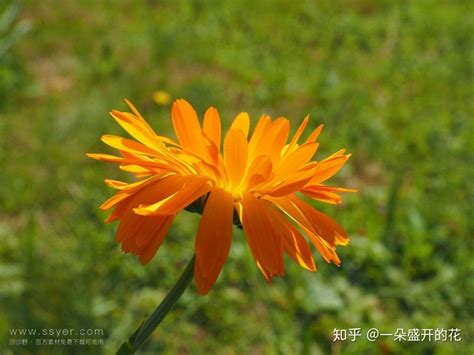 查找算法 顺序查找 知乎