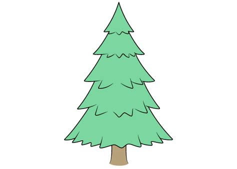 How To Draw A Pine Tree Step By Step Easylinedrawing