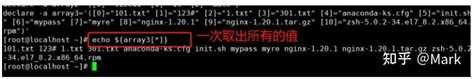 linux 数组 array 知乎
