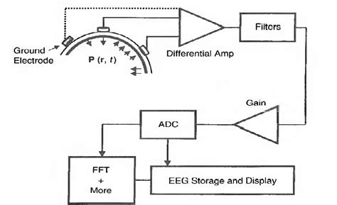1 Eeg Recording Components Download Scientific Diagram