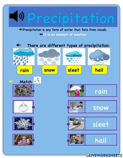 Types Of Precipitation Worksheet Printable Pdf Template