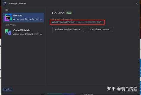 【goland】一款专为 Go 语言设计的集成开发环境（ide）（详细安装教程）附补丁 知乎