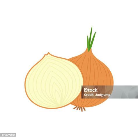 만화 갈색 또는 노란색 양파 세트입니다 전체 껍질을 벗기지 않은 반 양파 링과 조각 건강한 식생활에 대한 스톡 벡터 아트 및 기타 이미지 건강한 식생활 날것 디자인