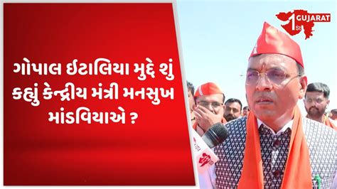 ગોપાલ ઇટાલિયા મુદ્દે શું કહ્યું કેન્દ્રીય મંત્રી મનસુખ માંડવિયાએ