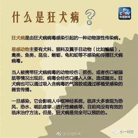 世界狂犬病日：關於狂犬病及其預防，最應該了解的兩個關鍵點 每日頭條