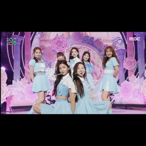 디자인센스 자이언트플라워 장식전문가 에바폼꽃 페이퍼플라워 Led꽃 초대형꽃 조명숙플라워 리본 상자 제작 디자인센스 국화 백일홍 Led꽃 국화 양귀비 페이퍼