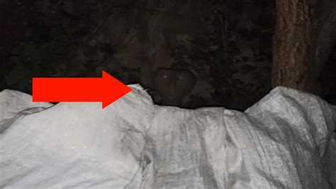 Страшные видео с инопланетянами снятые на камеру в лесу монстры