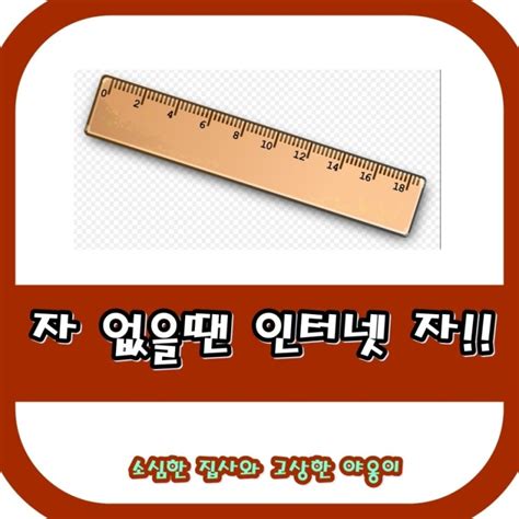 자 없을때 인터넷 자를 이용해 보세요 네이버 블로그