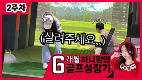 초보동지하니얌 오~ 늘었다 골린이 골프레슨 골프연습 골프 골프스윙 Youtube