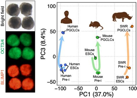 Fig Image Eurekalert Science News Releases