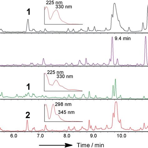 Lcms Chromatograms Uv 350 Nm Of Organic Extracts From Heterologous