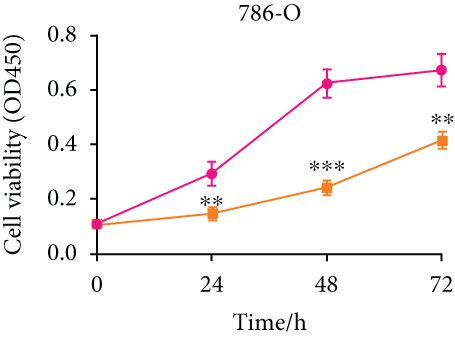 Overexpression Of TP53INP2 Resulted In An Inhibition To Cellular
