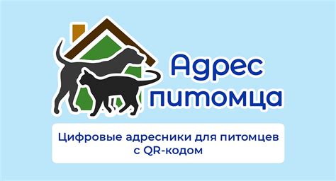 Цифровые QR-адресники для собак и кошек | Адрес питомца