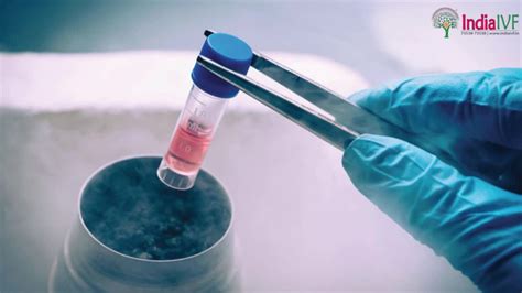 Medical Treatment India On Linkedin 45 Semen Cryopreservation