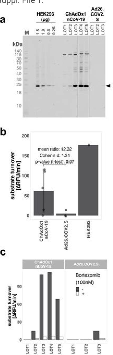 Figure 1 From Comparative Analysis Of Chadox1 Ncov 19 And Ad26cov2s Figure 1 From Comparative Analysis Of Chadox1 Ncov 19 And Ad26cov2s