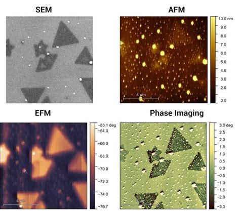 Examination Of Mos2 Using Simultaneous Afm And Sem