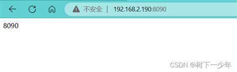 Nginx基于源码安装的方式对静态页面、虚拟主机（ip、端口、域名）和日志文件进行配置nginx 页面 Csdn博客