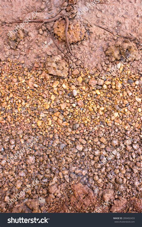 Tree Root Soil Design Background Stock Photo 289492433 Shutterstock