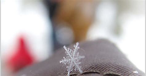 Snowflake Captured On A Sleeve Imgur