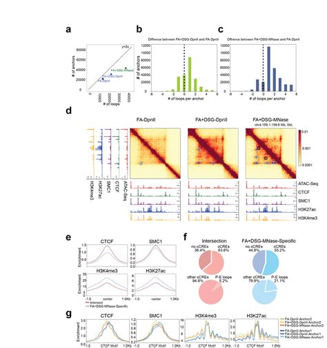 Characterization Of Interactions And Chromatin Features Of Loop Anchors