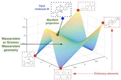 Molecular Graph Learning In The Optimal Transport Geometry PaniBlog