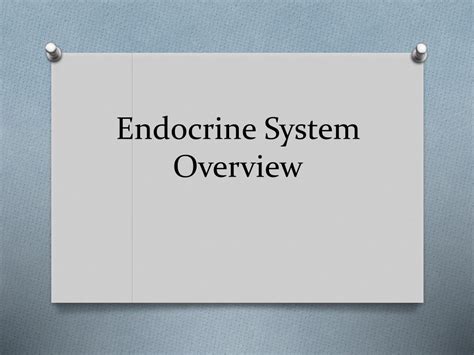 Ppt Endocrine System Overview Powerpoint Presentation Free Download