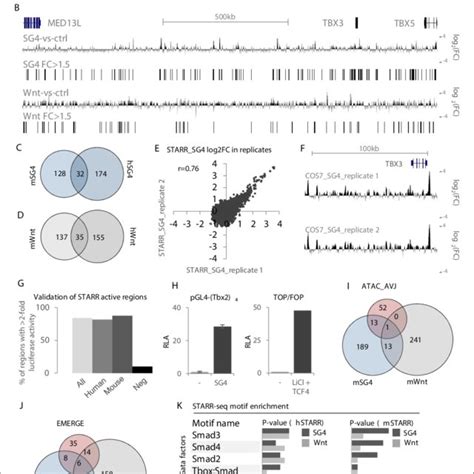 validation and characterization of starr seq datasets a overview of