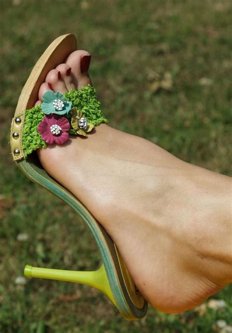 Pin On Mules