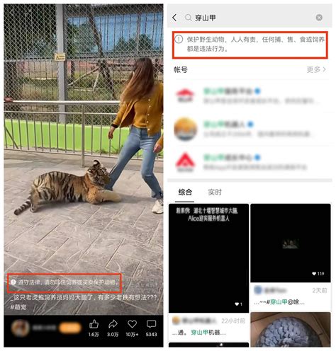 522 国际生物多样性日，微信视频号携手众多创作者共倡生物保护 极客公园