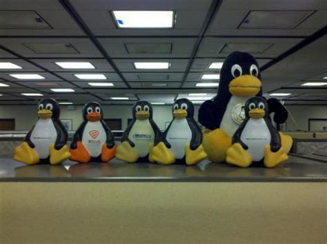 CVE Linux Privilege Escalation Video Demonstration