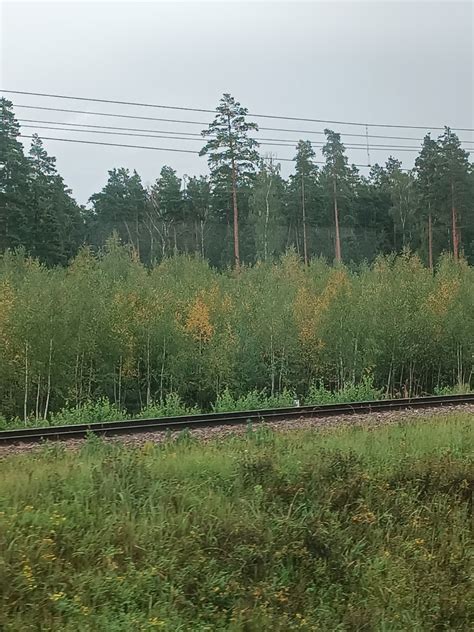 Осенняя интарсия на теплых свитерах модели со схемами Мне интересно и мой жаккард Дзен