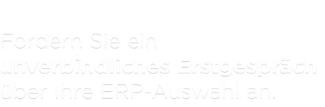 Navision Erp System Software Lotse