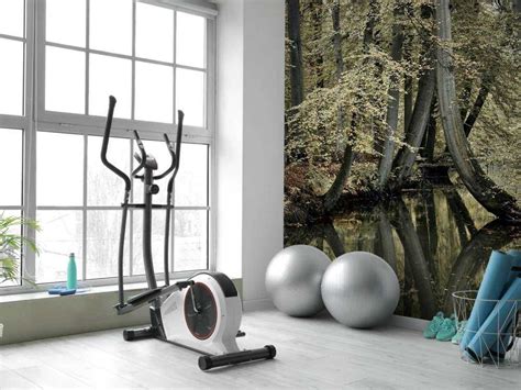 Beekje Met Hangende Bomen Fotobehang