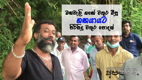 මහවැලි ගඟේ වතුර බීපු ගඟයායට පිරිසිදු වතුර පොදක් Youtube