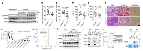 多组学研究思路教您利用“宏基因组测序”发顶刊！ 知乎
